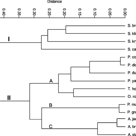 cluster analysis upgma method of classification and gower s general