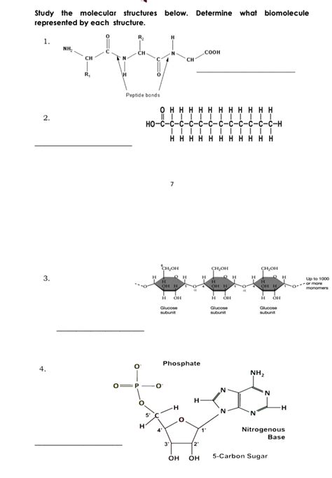 Study The Molecular Structures Below StudyX