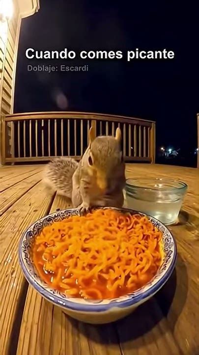 Mirysita En La Vida Real Probando Comida Picante 🤣🤣🤣🤣🤣🤣🤣🤣 Youtube