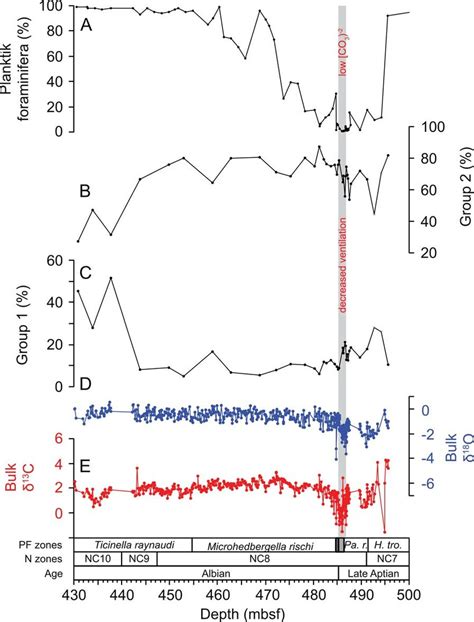 Relative Abundance Of Benthic Foraminiferal Groups 1 And 2 B−c Download Scientific Diagram