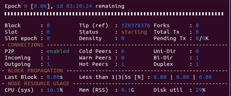 node stuck on starting operate a stake pool cardano forum