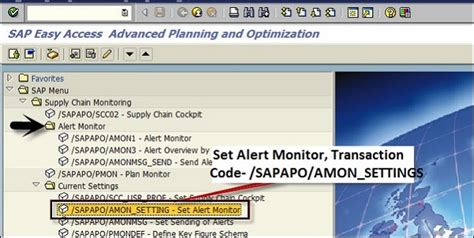Sap Apo Supply Chain Monitoring
