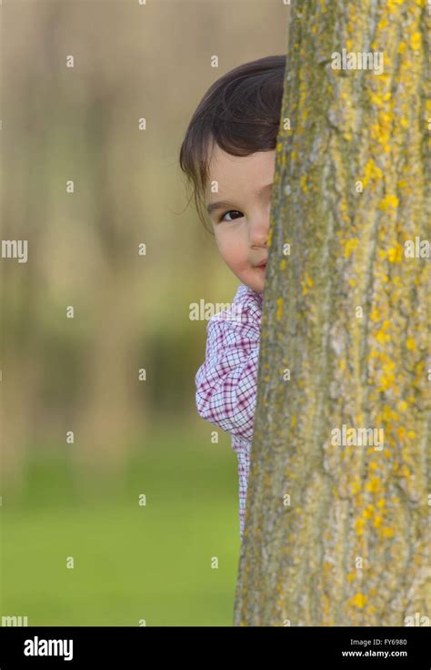 Portrait D Une Petite Fille Se Cacher Derri Re Un Arbre Photo Stock Alamy