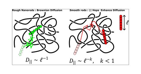 Smoother Surfaces Enhance Diffusion Of Nanorods In Entangled Polymer Melts Macromolecules