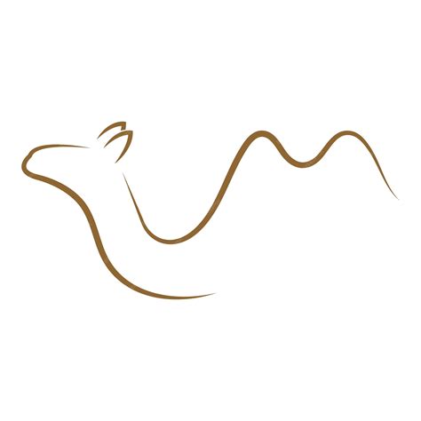 Premium Vector Camel Vector Illustration Design