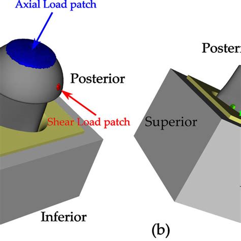 Left A Isometric View Of The Finite Element Fe Model With A Shear