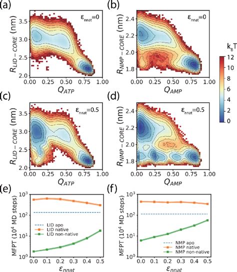 Thermodynamic And Kinetic Properties Of The Enzyme−substrate System In