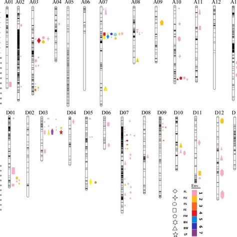 Qtls And Qtl Clusters Identified For Fibre‐quality And Yield Traits Download Scientific