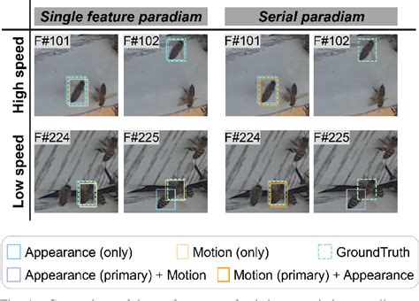 Topic A Parallel Association Paradigm For Multi Object Tracking Under