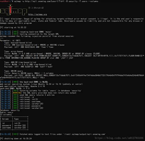 sqlmap入门_the sql query provided does not return any output-CSDN博客