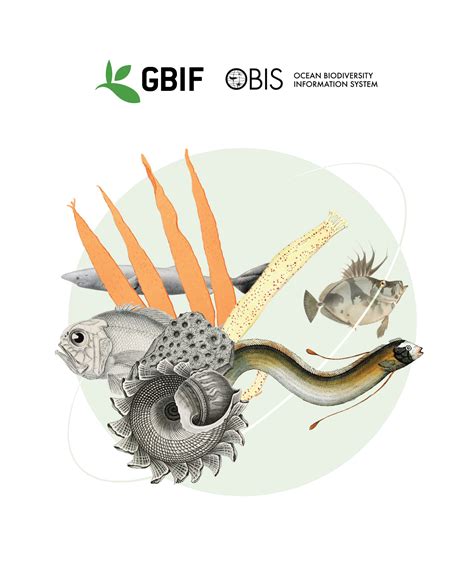 Obis Gbif Joint Strategy For Marine Biodiversity Data