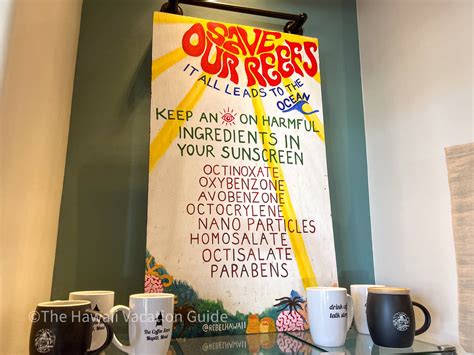 Hawaii Reef Safe Sunscreens How To Uv Protect Yourself The Hawaii