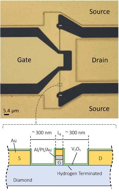 Optical Image Of A Diamond Mesfet And Pictorial Cross Section Of The Download Scientific