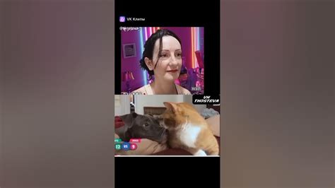 приколы Funny Twitch смешно смех юмор React смешноевидео