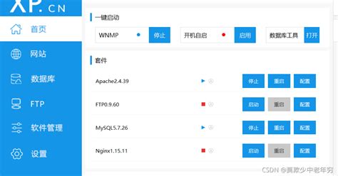 用PHPstudy 布置网站局域网下其他电脑可访问手把手教学 一台电脑用phpstudy搭建的网站怎么让同网段的电脑查看 CSDN博客