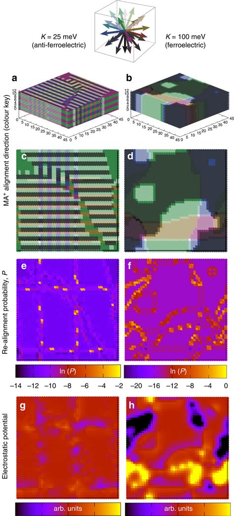 Simulation Of Interacting Ma Dipole Alignment On A 3d Lattice Monte