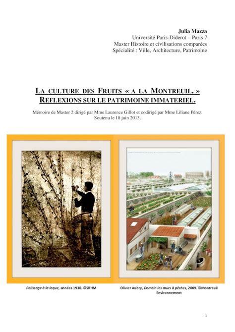 Pdf Memoire Pci Map Dokumentips