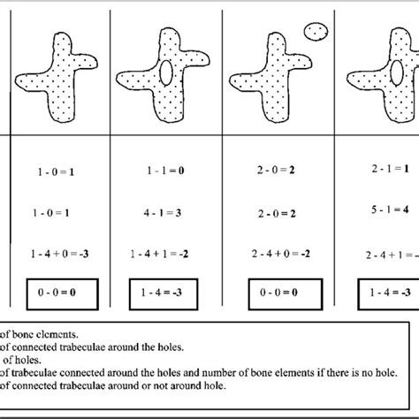 Determination Of Euler Numbers According To The Four Different