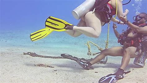 Mixed Fighting Xcafe Com