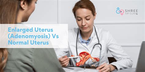 Enlarged Uterus Adenomyosis Vs Normal Uterus Shree Ivf Clinic