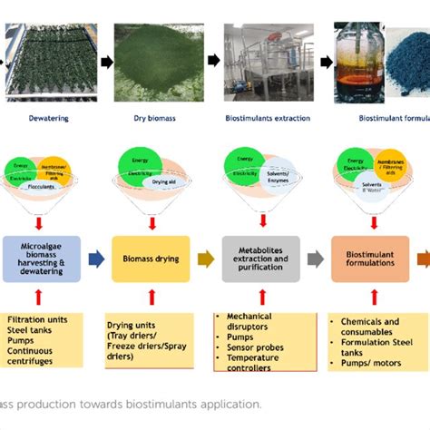 Pdf Microalgae As Next Generation Plant Growth Additives Functions