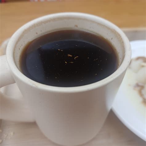 오늘의 커피 아메리카노 Daum 카페