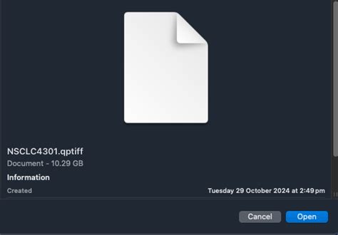 getting started — napari prism