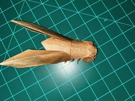 Origami Cicada By Robert J Lang Folded By Me R Origami