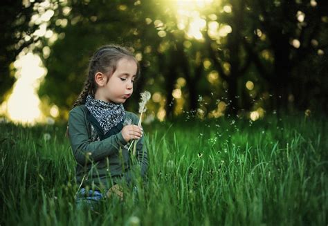 Más De 100 000 Imágenes Gratis De Chulito Verde Y Verde Pixabay