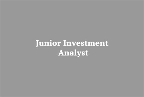 Junior Investment Analyst