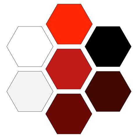 Flutter App