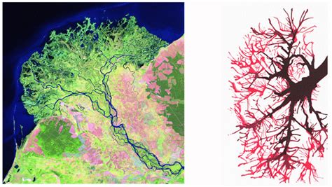 How Universities Evolved Tree Like Hierarchies HYdrogen Properties For Energy Research HYPER