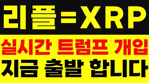 긴급속보 리플코인 어렵게 구한 대박호재 얘가 개입했다고 미쳤다 빠르게 시청하세요 리플 리플코인 Xrp 리플전망 Youtube