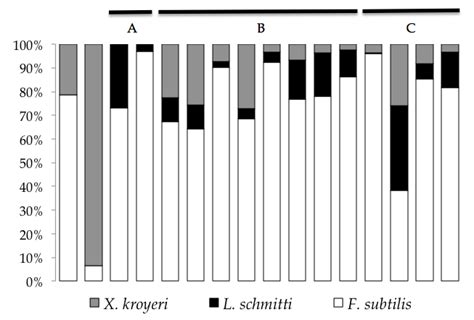 Dendrogram Upper And Percentage Lower Of Cluster Analysis Based On Download Scientific