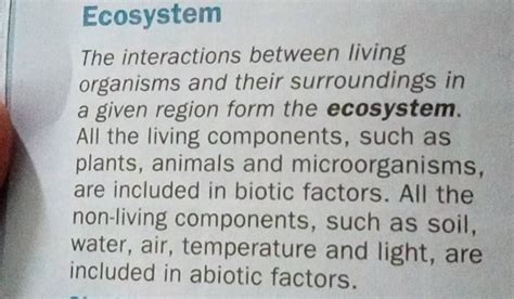 Ecosystemthe Interactions Between Living Organisms And Their Surrounding