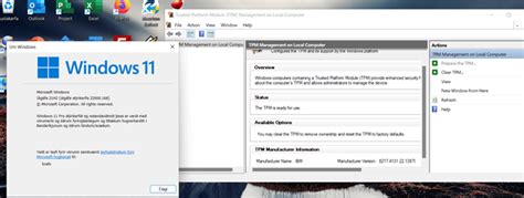 W11 VM On Old MBR Only Computer Working Properly With Sec Boot And TPM Emulator Windows 11 Forum