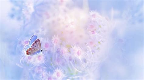 클래식명곡 연속듣기 조용하고 듣기좋은 클래식 모음 시간연속 조용한클래식 카페에서 듣기 좋은 노래 클래식 모음 Good Classical Music