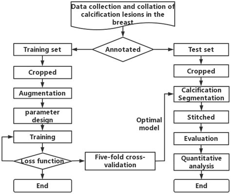flowchart for segmentation and quantitative analysis of mammographic