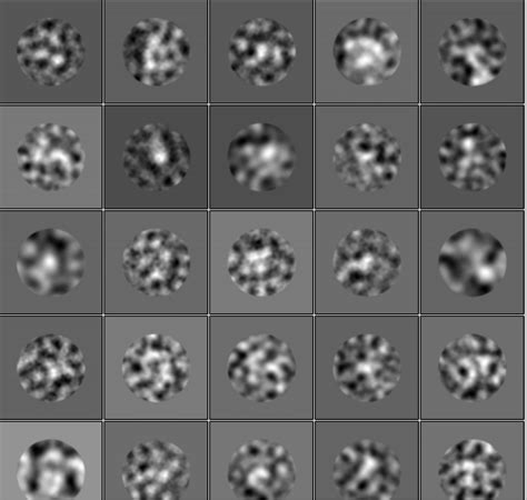 2d classification after manual picking the selected good classes