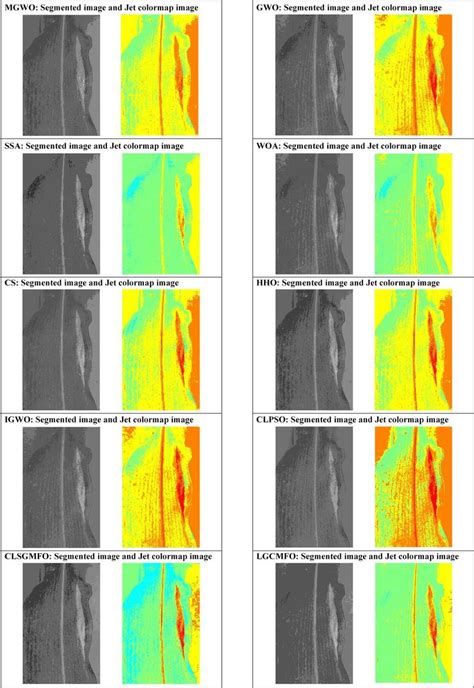 The Segmented Results Of Image 1 At 6 Level Threshold Using All
