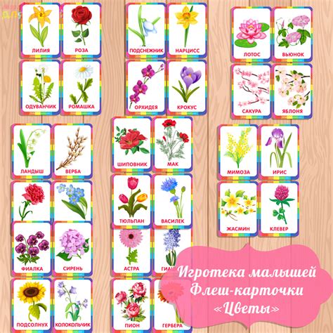 Игротека малышей - флеш карточки "Цветы" скачать для распечатки ...