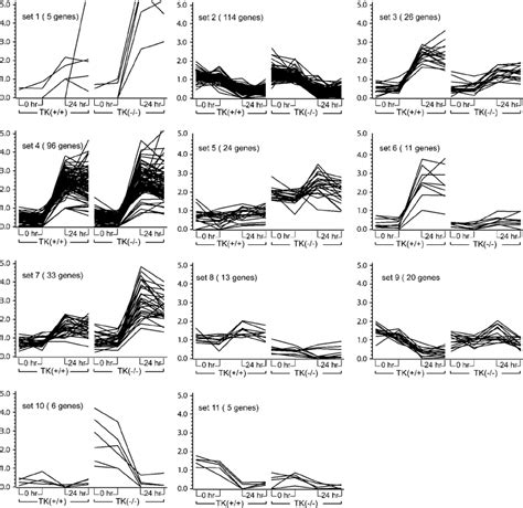 Cluster Analysis By Similarity Of Expression Pattern Gene Expression Download Scientific