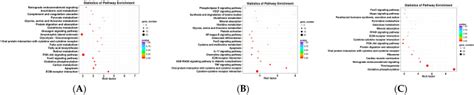 Integrative Analysis Of Transcriptomic And Lipidomic Profiles Reveals A Differential