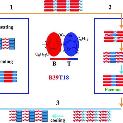 Three Different Self Epitaxial Crystallization Circles By Controlling