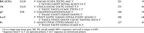Primer Pairs Used In This Study Name A Gene Primer Sequence B PCR Download Table