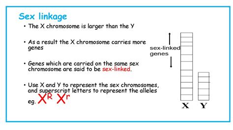 Higher Human Biology Unit 2 Physiology And Health Ppt Download Higher Human Biology Unit 2 Physiology And Health Ppt Download