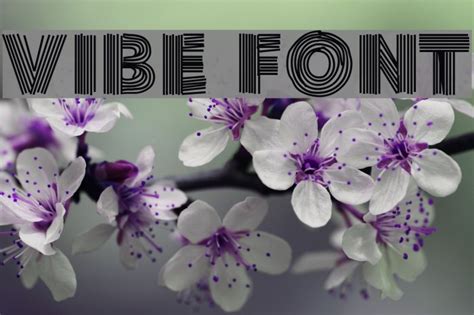 Vibe Font
