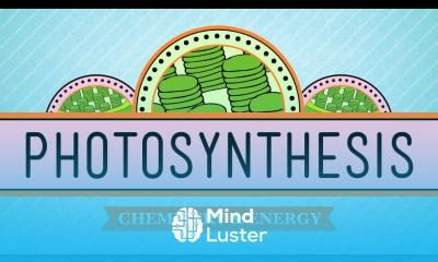 Learn Photosynthesis Crash Course Biology 8 Mind Luster
