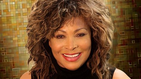 Tina Turner Biography Age Weight Height Friend Like Affairs