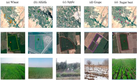 the figures of a b c d and e illustrates ground truth